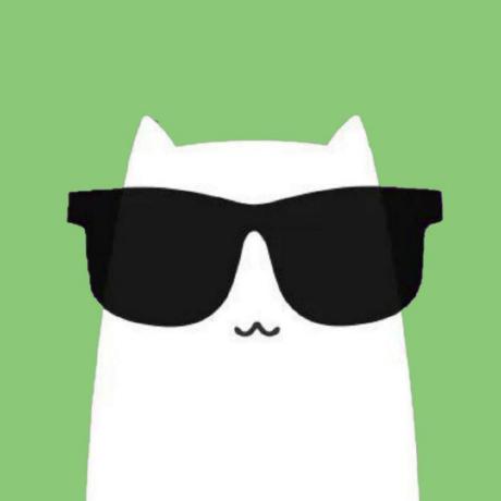 Arce Star Yile Yan Github