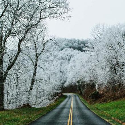 Abraham Williams Github