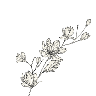 Neordinary Hackathon Github