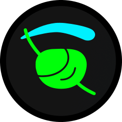 Coderaidershaun Code Raiders Github