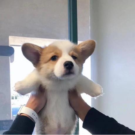 Algo23 Sherry Github