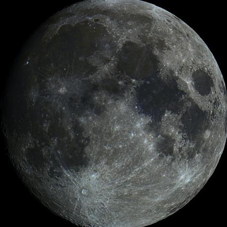 Arthur Jardim Justwumpus Github