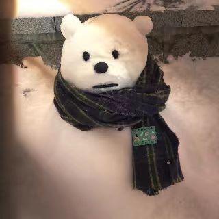 Zi Chuan0 Wanchun Zhang Github