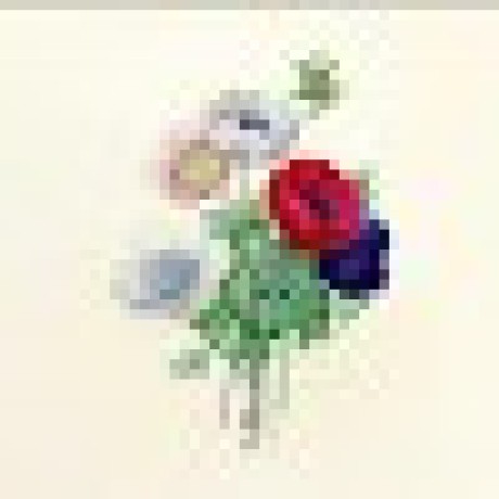 Github Vimachi Pdsn Github - Premium Abstract Illustration Gallery - Ultra HD