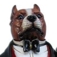 Kumarchandresh Kumar Chandresh Github