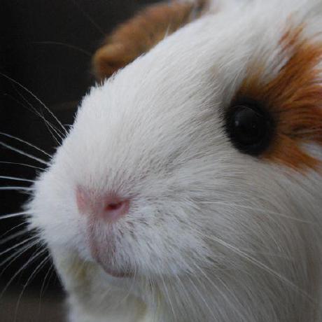 Dotnet Test Coverlet Actions Github Marketplace Github - Minimal Images - Modern 4K Collection