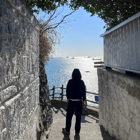 Pepperedpepper Peppered Pepper Github