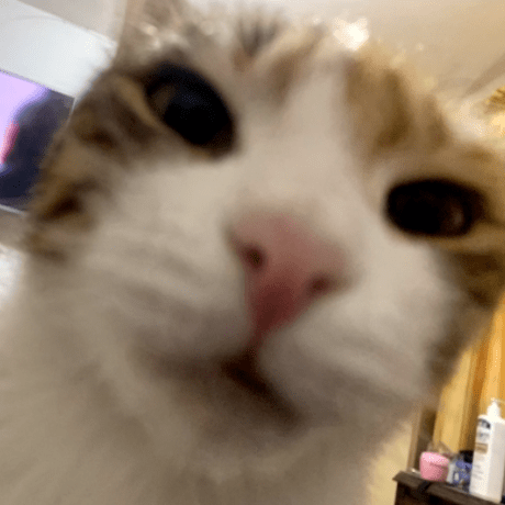 Danieltobs Daniel Tobs Github