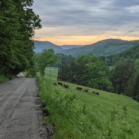 Russellprimeau Russell Primeau Github