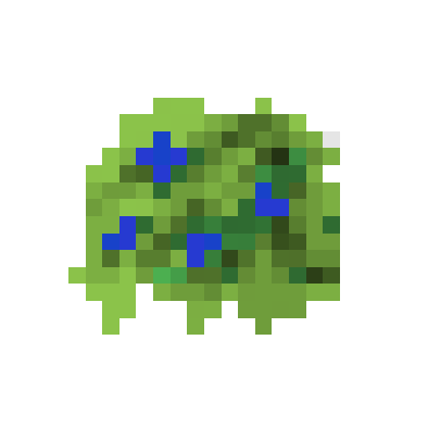 Blueberry Development Github