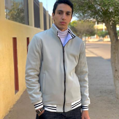 Aladdin Elshamy Aladdin Elshamy Github