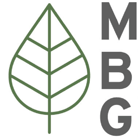 Mason Bruce Girard Github