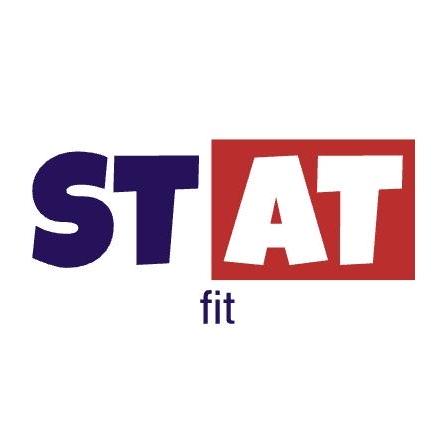Stat Fit Github