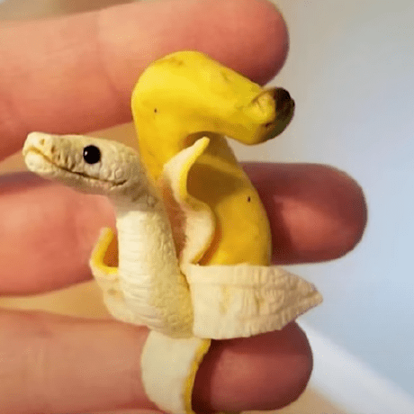 Leviathan1000 Leviathan Github