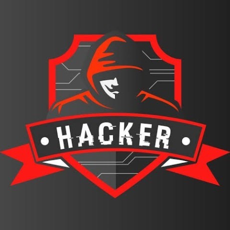 Brutelhacker Ravi Hacker Github
