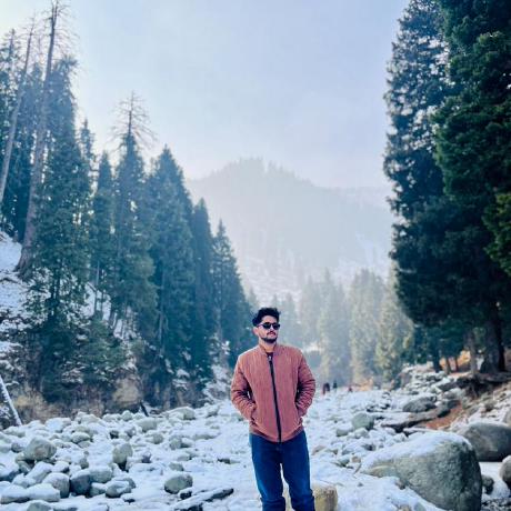 Sinanshk Muhammad Sinan M Github