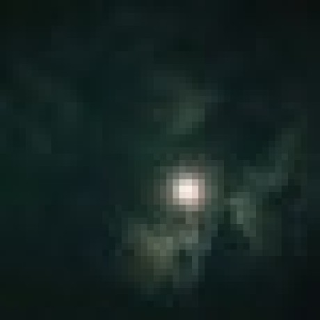 Sarang095 Sarang Github