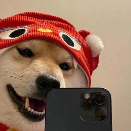 9402tang Tangming Github