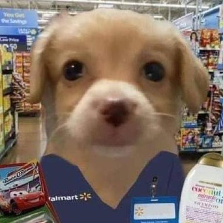 Erick Imm Erick Github