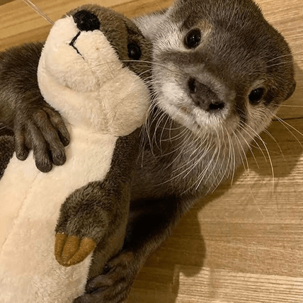 Jw0202058 Jeongwon Github - Full HD Vintage Illustrations for Desktop