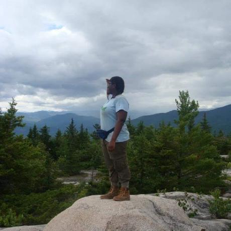 Andreanun Andrea Github