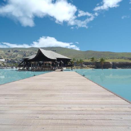 Waynetomas Wayne Tomas Github