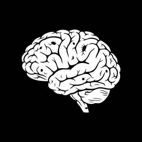 Thomasontraining Thome Github