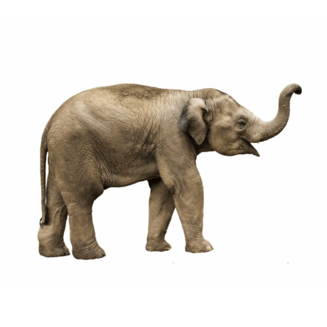 Bartekl1 Bartek L Github