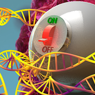 Gersbachlab Bioinformatics Github