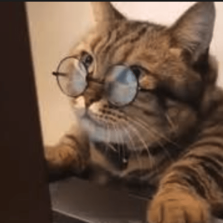 Nebioudaniel Nebiou Daniel Berhane Github