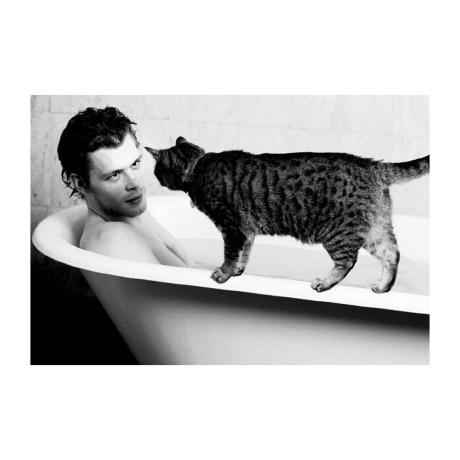 Xxxiklaus Klaus Github