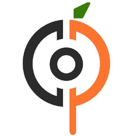 Peach Tech Github