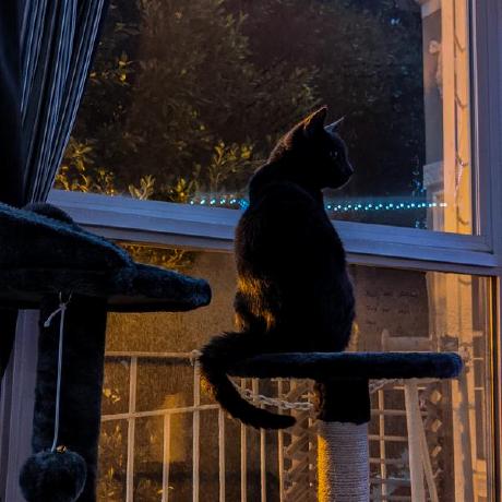 Grantburley Grant Burley Github