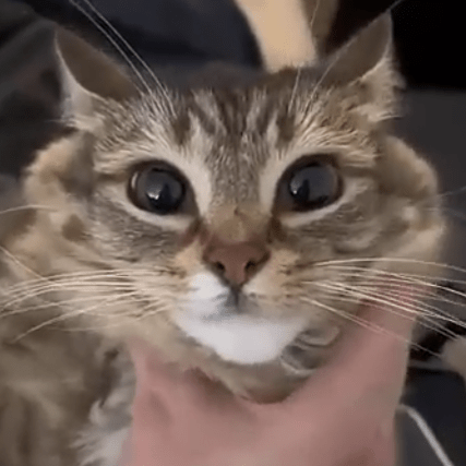 Kernelxdev Kernel Github - Premium Sunset Wallpaper Gallery - HD