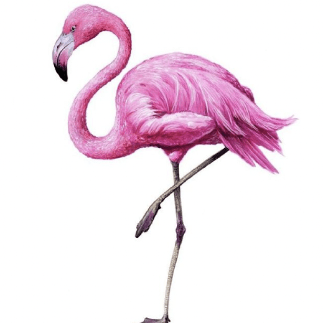Pinkpink Flamingo Github