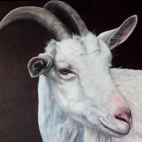 Goaaat Production Github