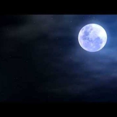 Joey Cyberhub Joey Github