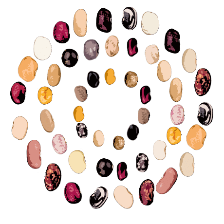 Github Papalab Bean Adapt - Beautiful Geometric Picture - 4K