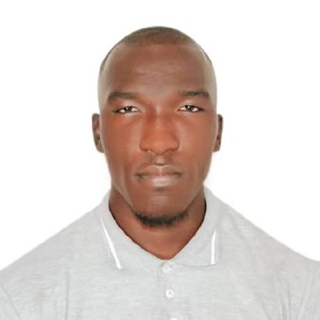 Prince0206 Prince Larbi Wireko Github