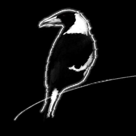 A Magpie Github