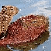 Sandern Sander Van Noort Github