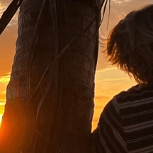 Zesty Zdev Jms Rea Github