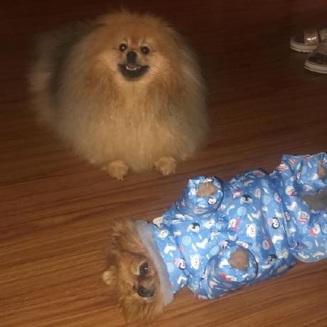 Ser9330026 Sergey Github