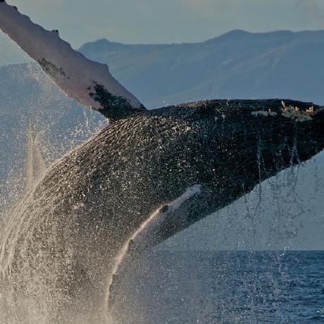 Bach0128 Tran Xuan Bach K3 Github