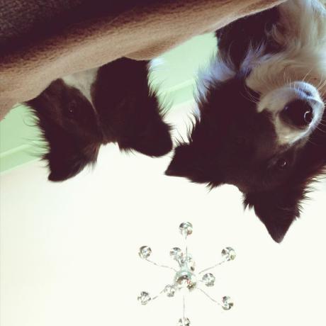 Victoriaegger Victoria Egger Github