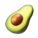 Team Avocado Github