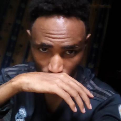 Demisodaba Demiso Daba Github