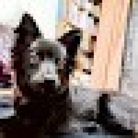 Brycecream Github