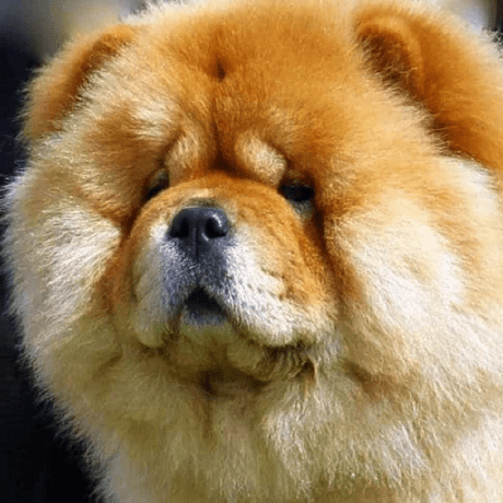 Matthewrbergman Matt Bergman Github