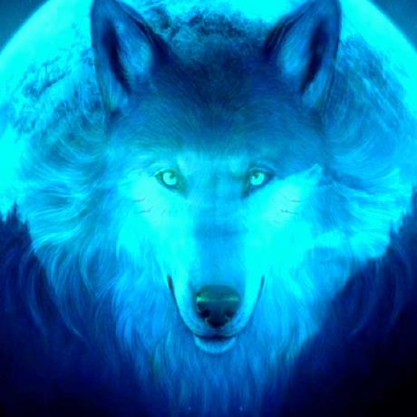 Wolf Jm Github